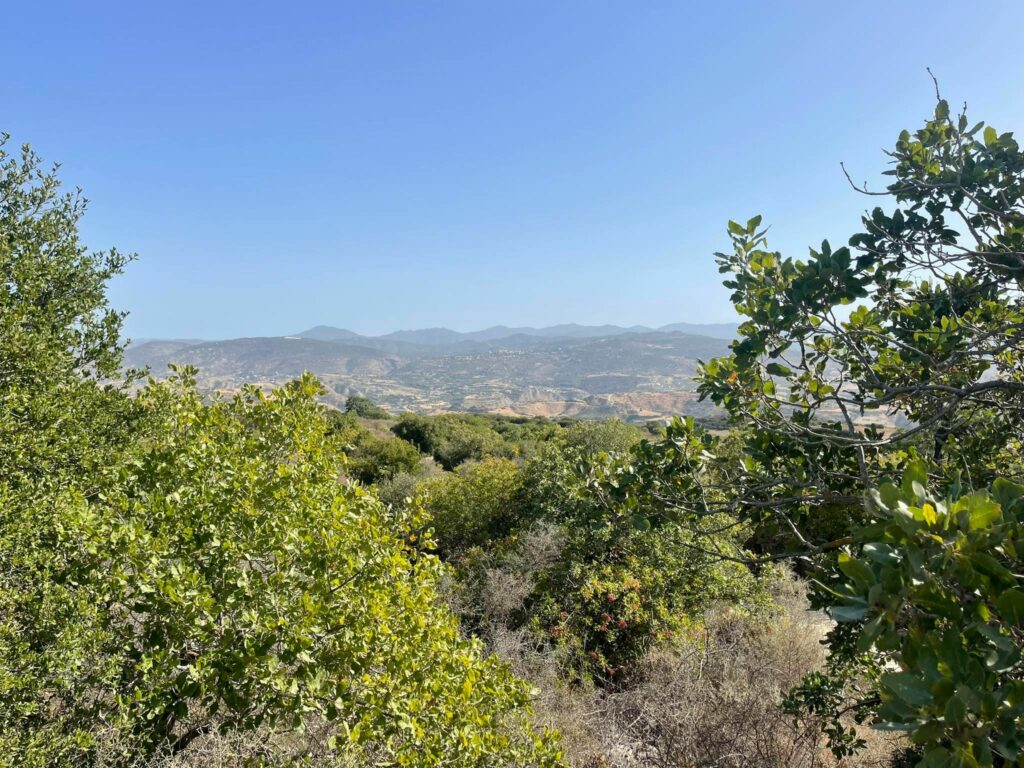 Four plots of land with a total area of almost 45,000 square meters ...