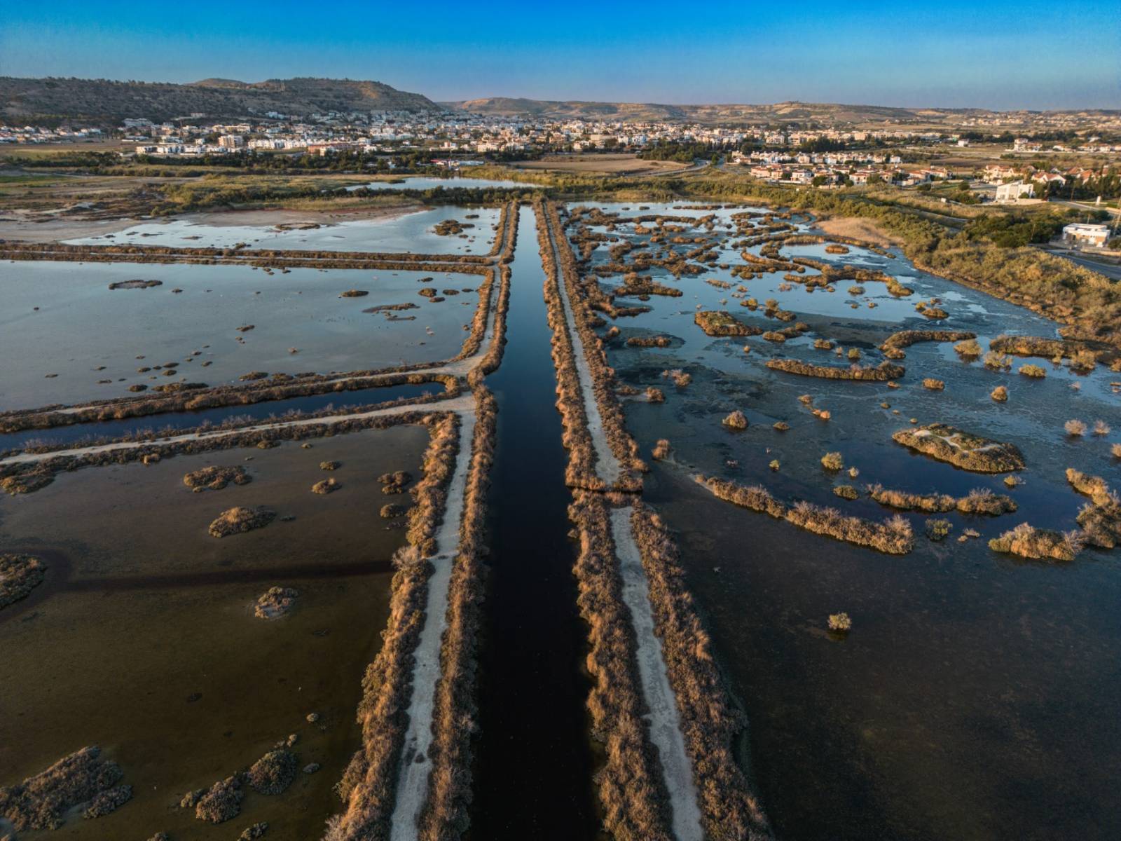 Wetlands Day celebration at Oroklini lake – Terra Cypria