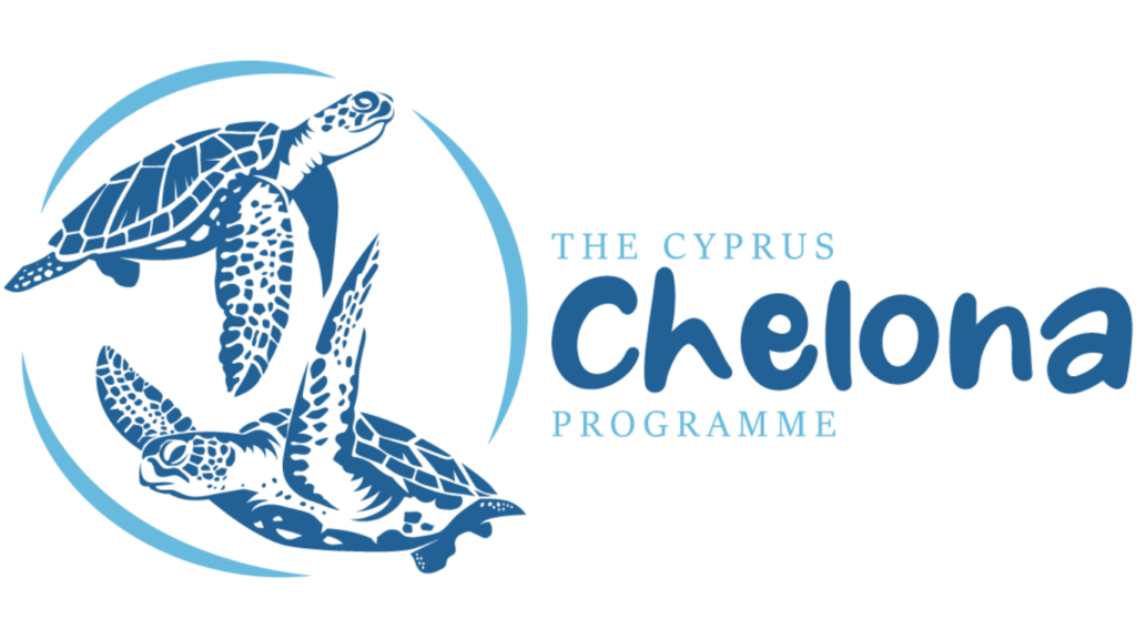 The Cyprus Turtle Program – Terra Cypria