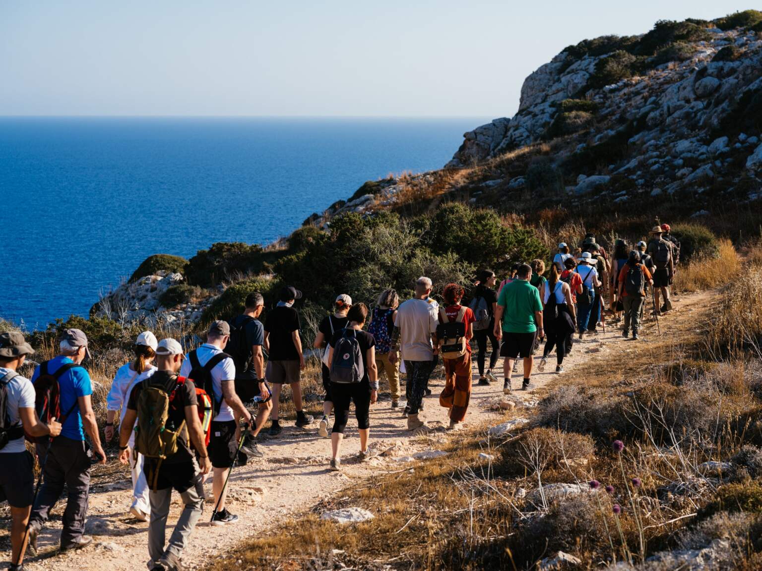 In 2026, support actively our work to protect the environment – Terra ...